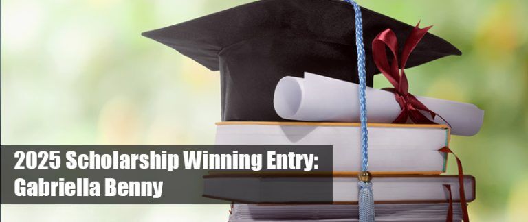 2025 Scholarship Winning Entry: AI and Online Fraud: Emerging Risks and ...